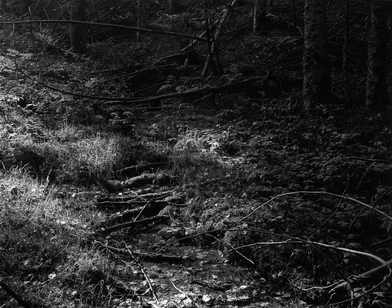 Story-map Furan/photographies